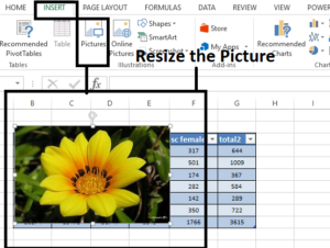 How To Insert Picture In Excel - Excel-Help